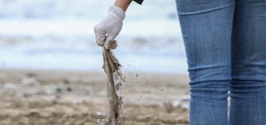 Más del 80% de 47 mil residuos encontrados en las playas bonaerenses son plásticos - Chequeado