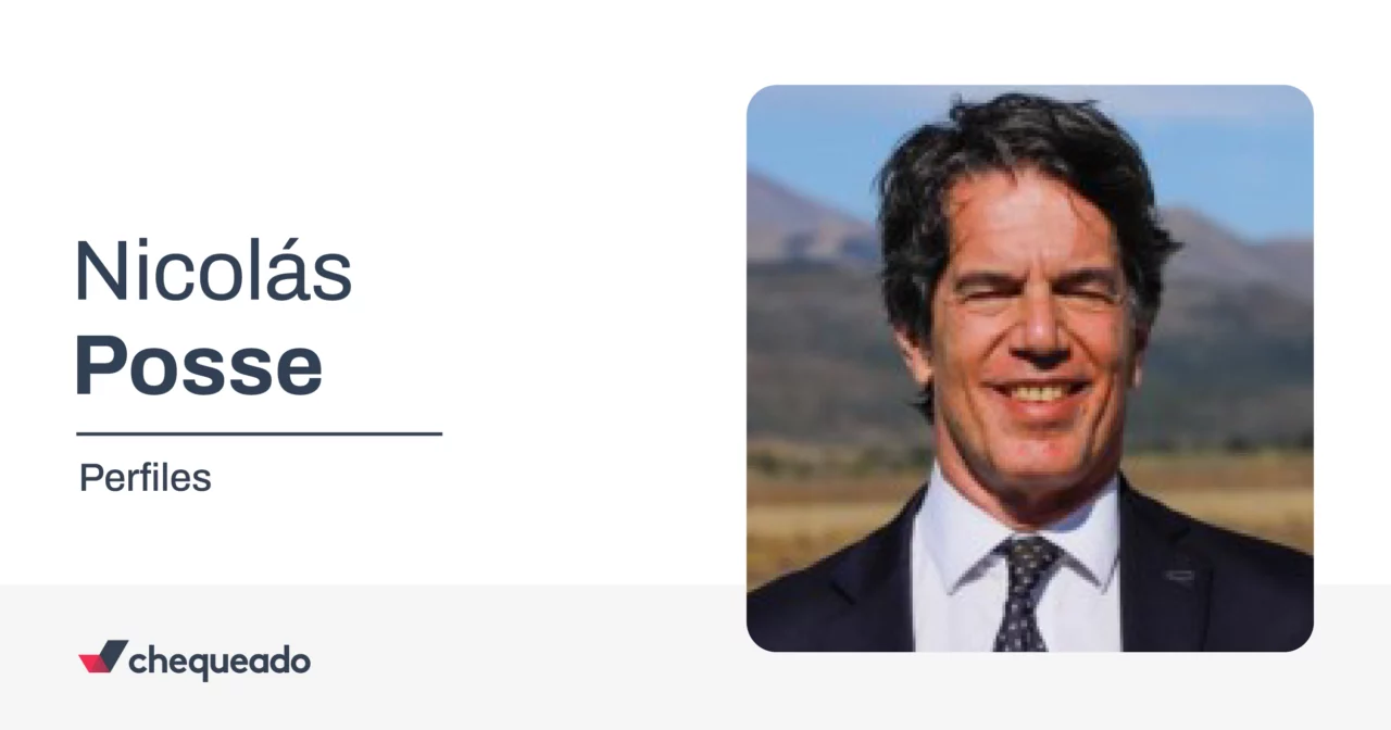 ¿Quién es Nicolás Posse? - Chequeado